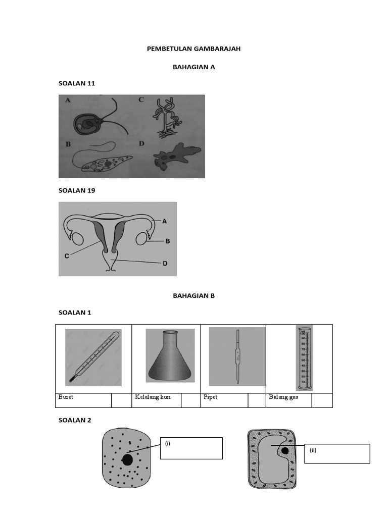 Pembetulan Gambarajah Bahagian A Soalan 11: Buret Kelalang Kon Pipet ...
