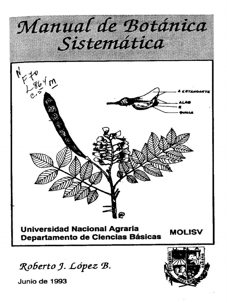 Guia de Sistematica de Nicaragua PDF | PDF