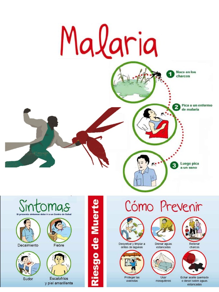 Afiche Malaria | PDF