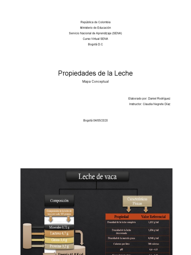 Propiedades de la Leche: Mapa Conceptual | PDF | Negocios | Informática