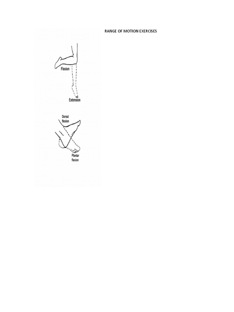 Effective Range of Motion Exercises | PDF
