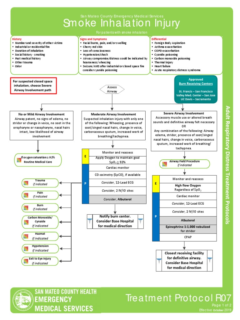 Smoke Inhalation Injury: Treatment Protocol R07 | PDF | Respiratory ...
