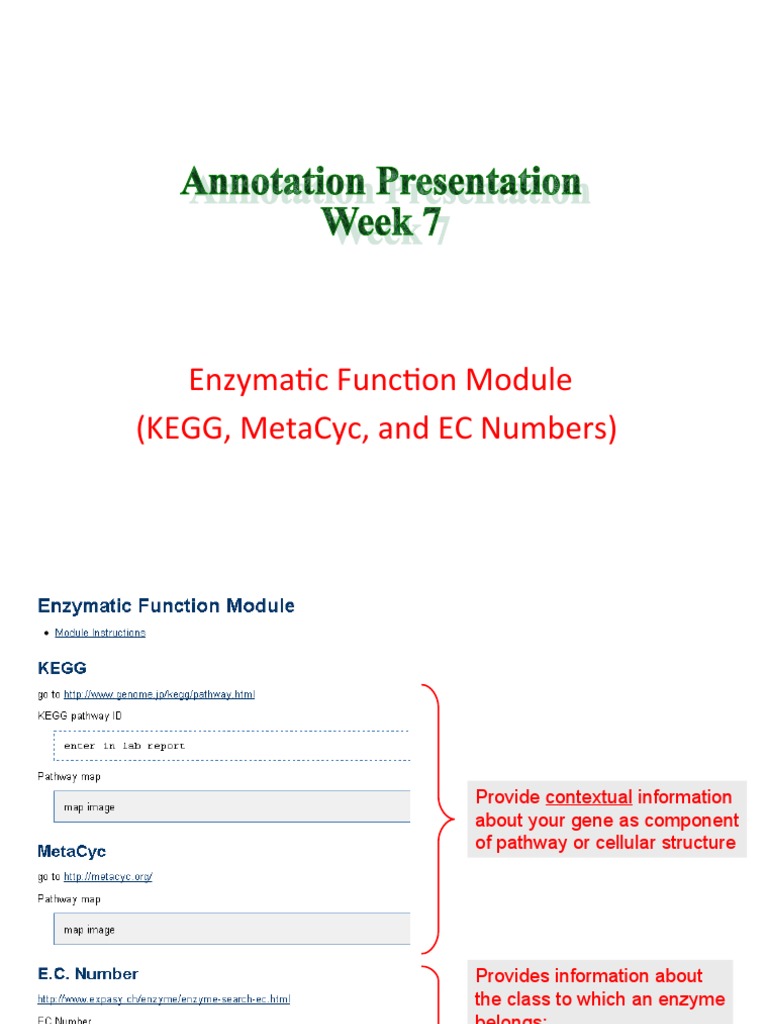 Enzymatic Function Module (Kegg, Metacyc, and Ec Numbers) | PDF | Sequence Alignment | Life Sciences