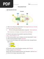 SUMMATIVE TEST-photosynthesis - wk.7 | PDF | Cellular Respiration ...