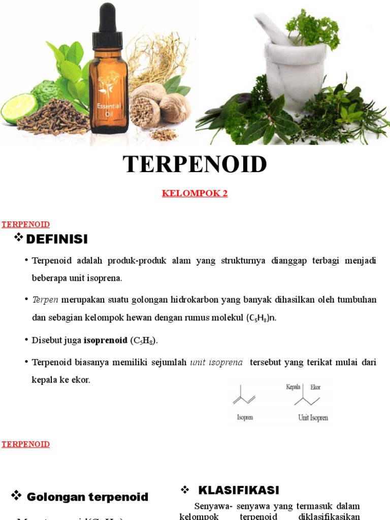 Terpenoid | PDF