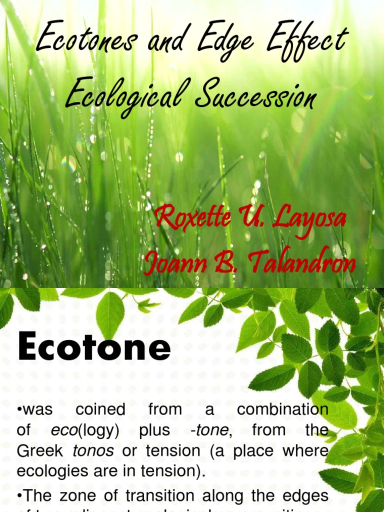 2.2 Ecotones and Edge Effect, Ecological Succession | PDF | Ecology ...