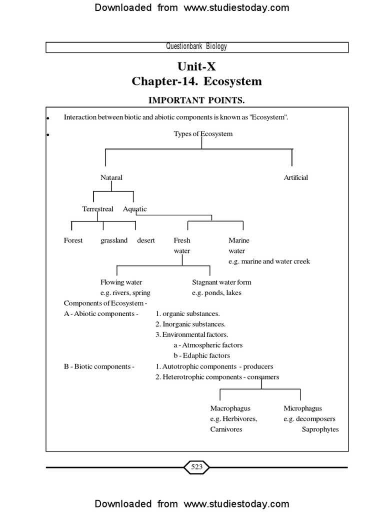 NEET UG Biology Ecosystem | Download Free PDF | Ecosystem | Food Web