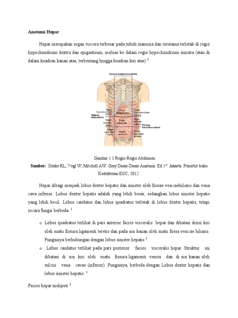 Anatomi Hepar | PDF