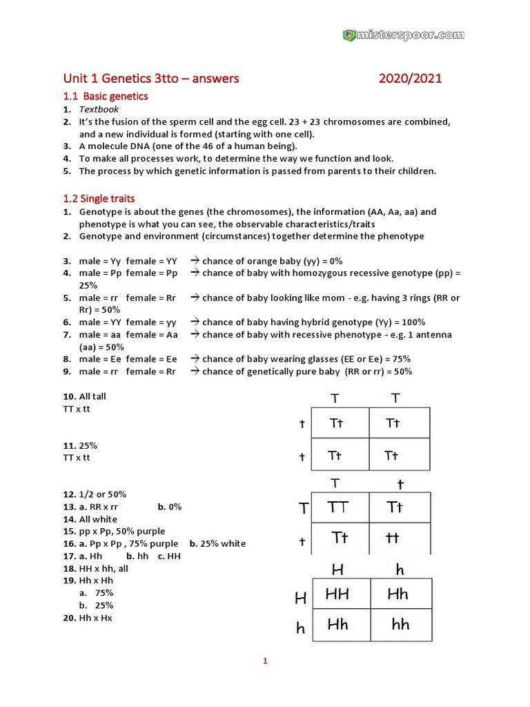3t Workbook Biology Answers 202021 16 PDF | PDF | Genotype | Dominance ...