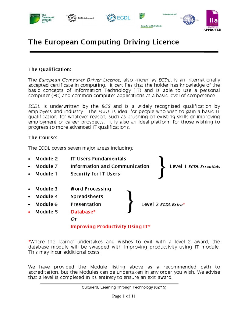 ECDL Foundation - Information PDF | PDF | Spreadsheet | Databases