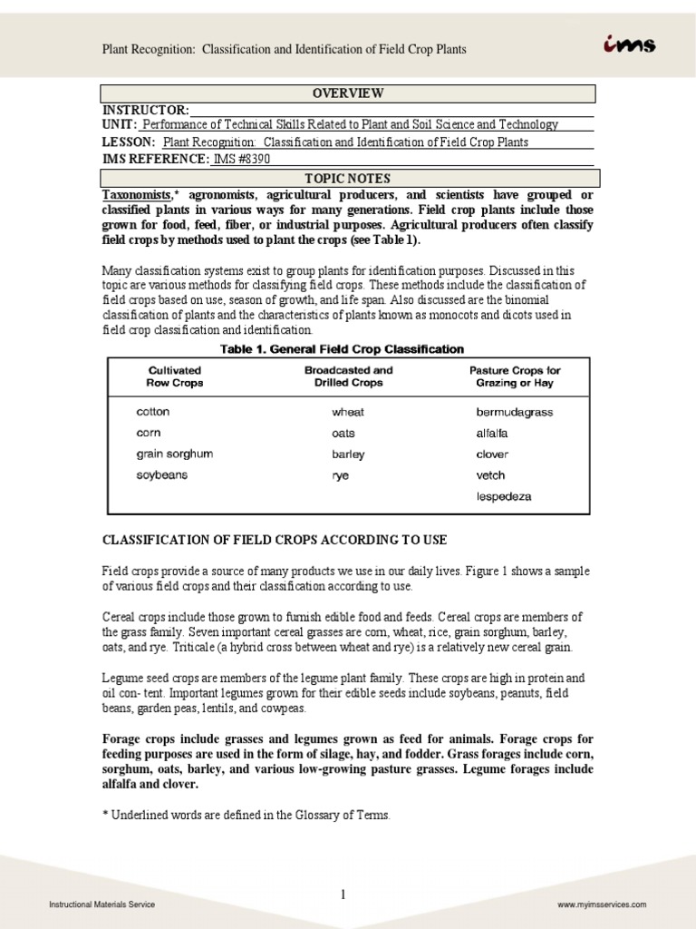 Classify Id of Field Crop Plants - PK | PDF | Leaf | Plant Stem
