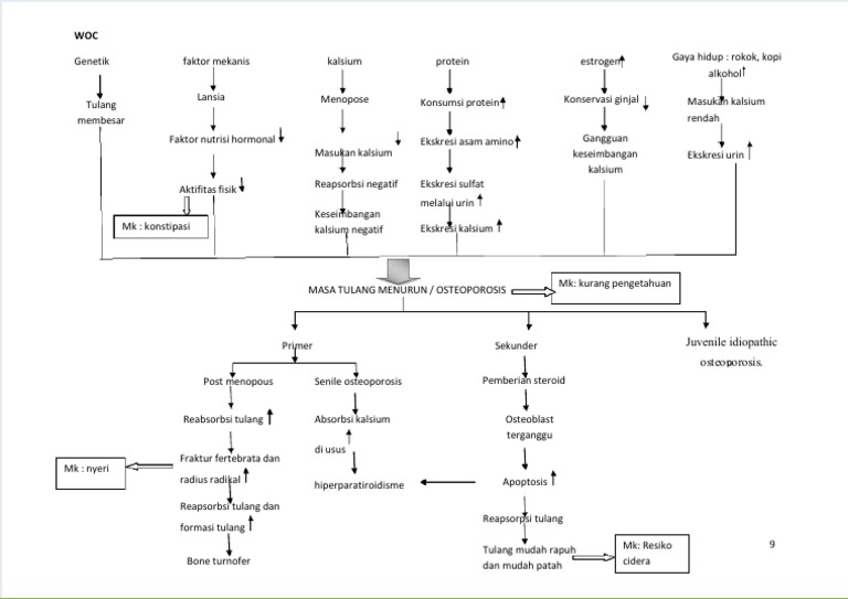 Woc Osteoporosis | PDF | Organ (Anatomy) | Medical Specialties
