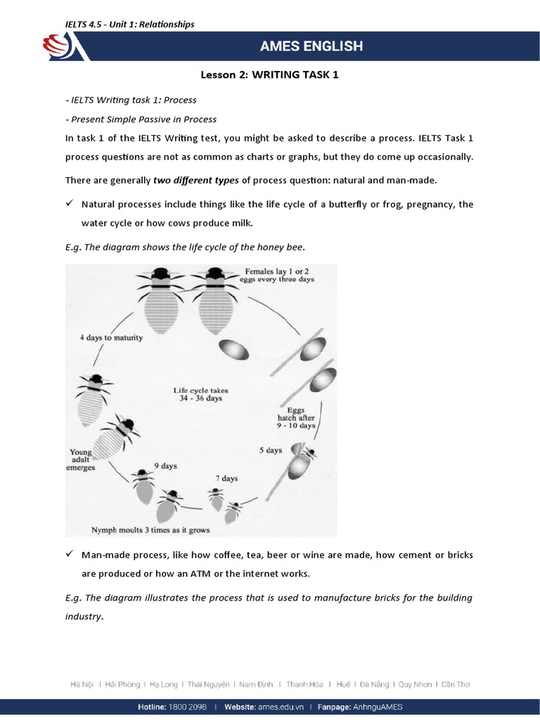 Learning Guide U1 W1 - Done | PDF | Insects | Bees
