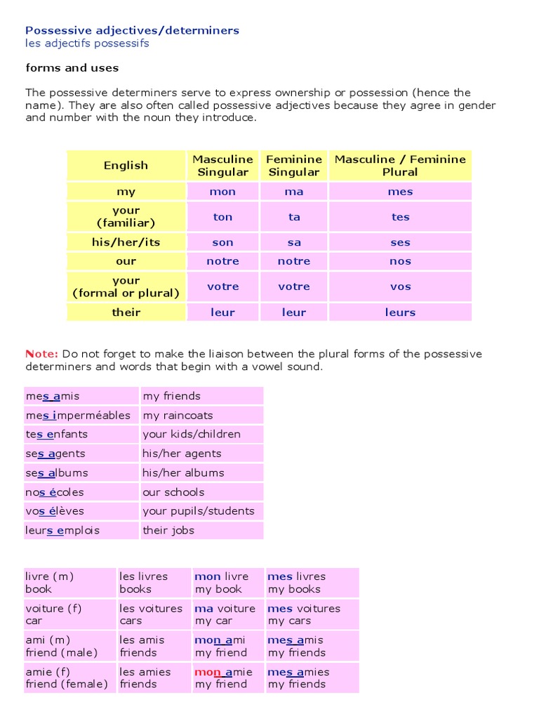 French Possessive Adjectives Guide | PDF | Language Arts & Discipline