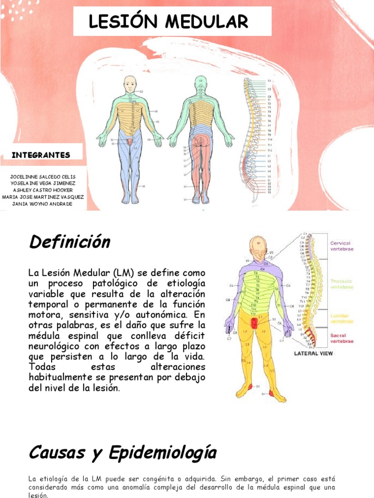 Lesión Medular | PDF | Lesión de la médula espinal | Médula espinal