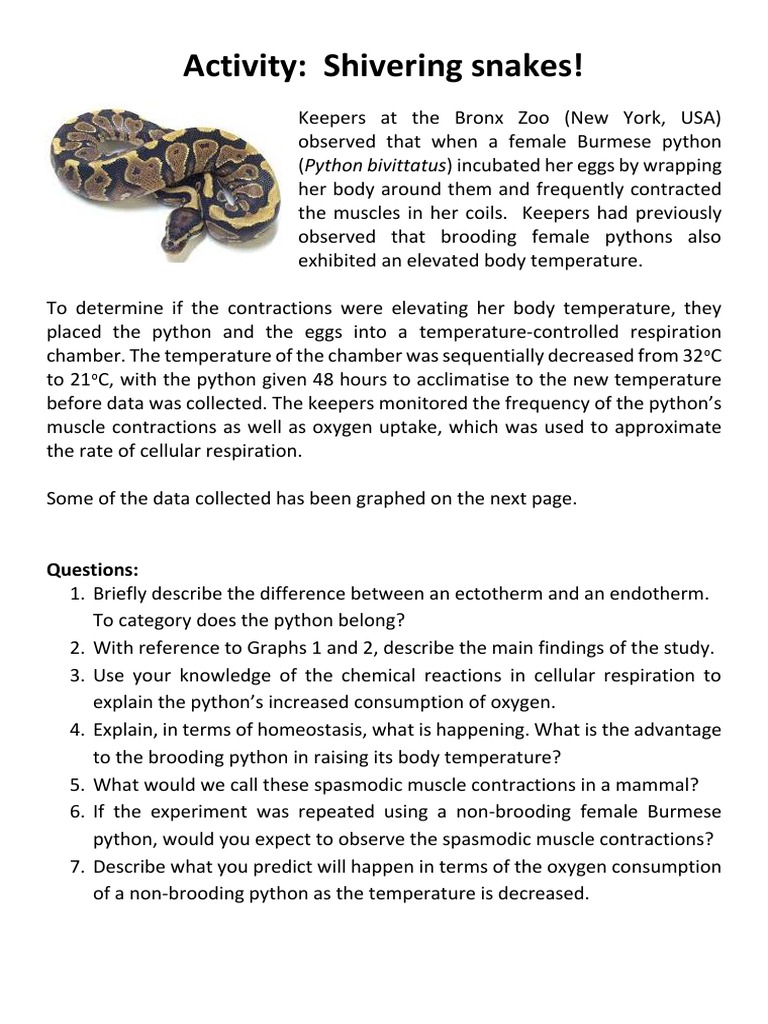 Shivering Snakes Data Analysis | PDF | Thermoregulation | Oxygen
