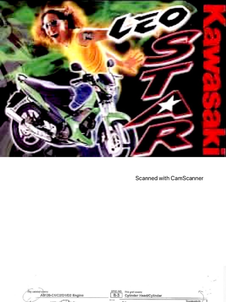 Kawasaki Leo Star 120 Catalogue | PDF