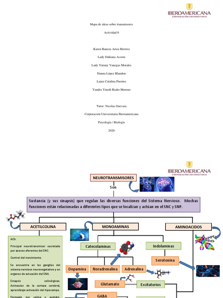 Act6 Mapa de Ideas Neurotransmisores | PDF | Norepinefrina | Serotonina