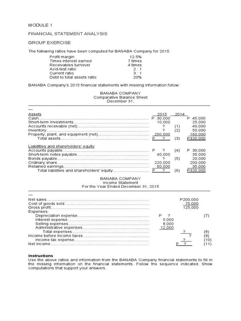 Financial Statement Analysis Group Exercise: Instructions | PDF ...