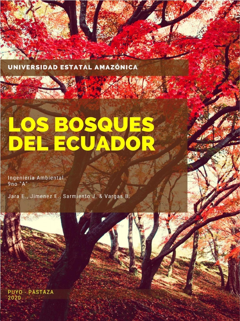 Libro-Bosques Del Ecuador PDF | PDF | Gases de efecto invernadero | Los ...