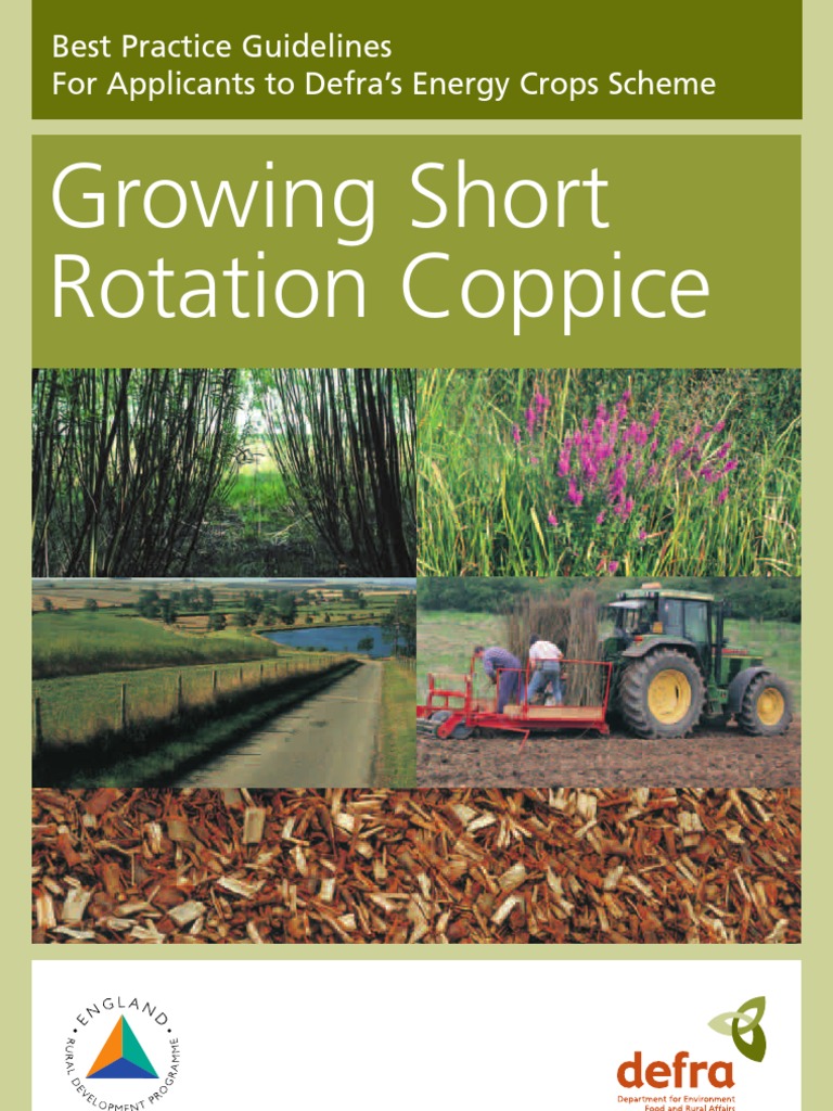 Growing Short Rotation Coppice: Best Practice Guidelines For Applicants ...