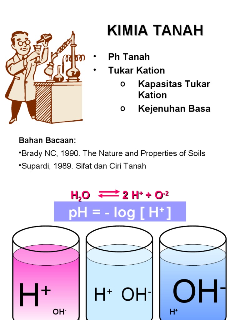 Kimia Tanah | PDF