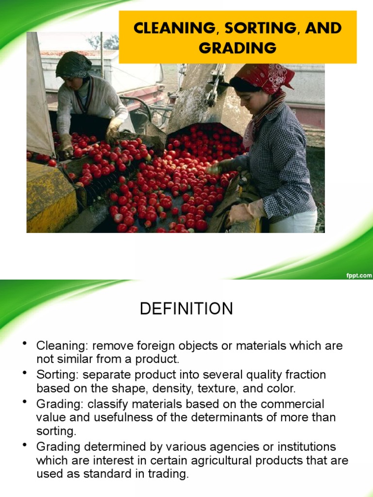 Cleaning, Sortation and Grading | PDF | Bleach | Washing Machine