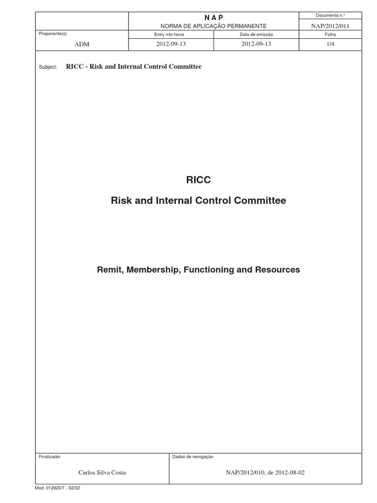 Risk and Internal Control Committee | PDF | Internal Control | Risk ...