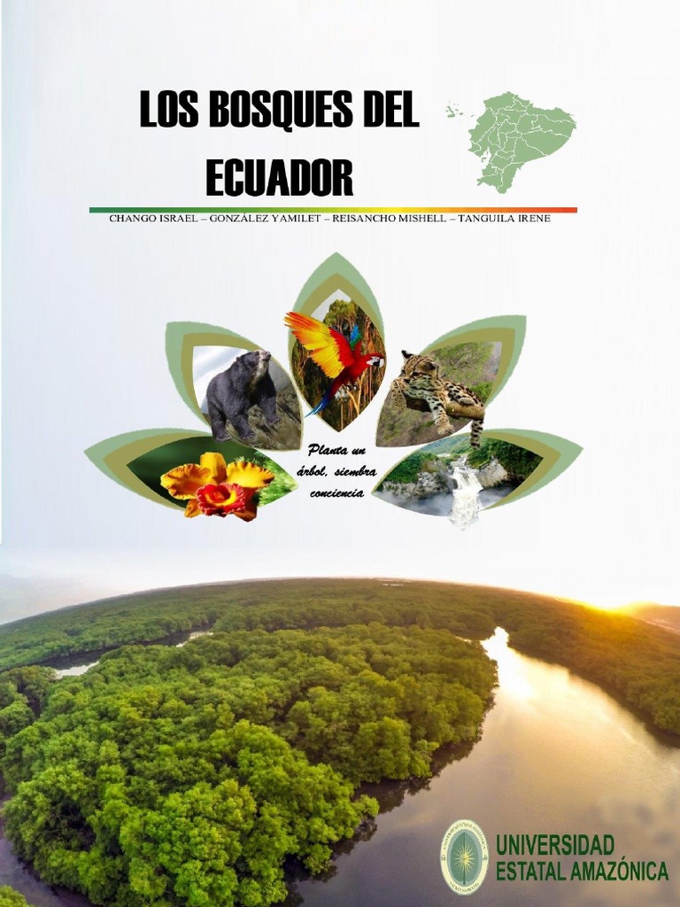 Los Bosques Del Ecuador | PDF | Deforestación | Los bosques