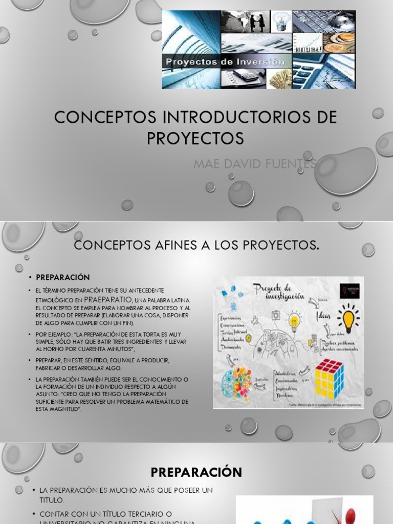 Conceptos Introductorios de Proyectos PDF | PDF | Compuestos químicos | Evaluación