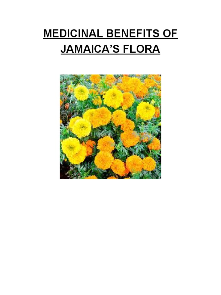 Medicinal Benefits of Jamaica's Flora | PDF