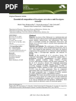 Safeda Tree: Eucalyptus Overview | PDF