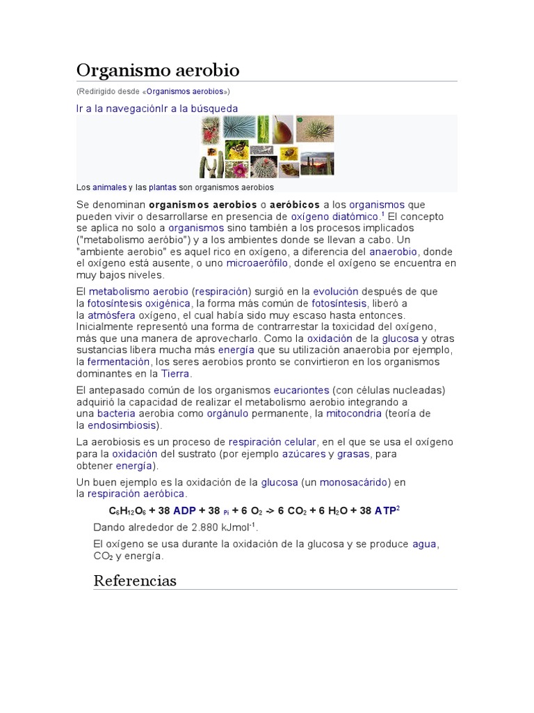 Organismo Aerobio | PDF
