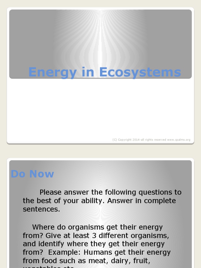 Energy in Ecosystems | PDF | Food Web | Systems Biology