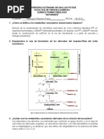 El Reactivo de Dragendorff | PDF