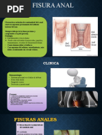 Obstrucción Intestinal por Bridas y Adherencias | PDF | Medicina ...