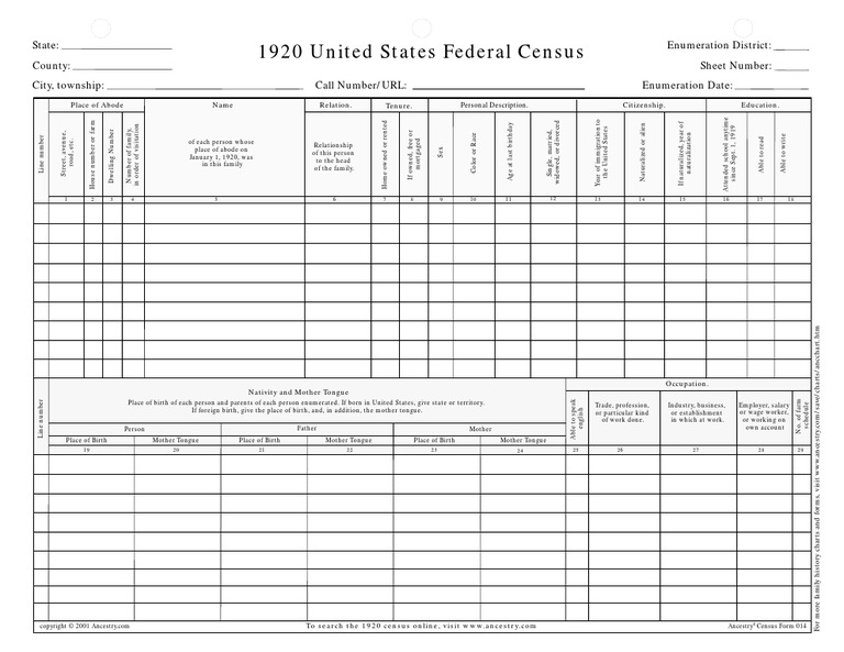 1920 Census Form | PDF