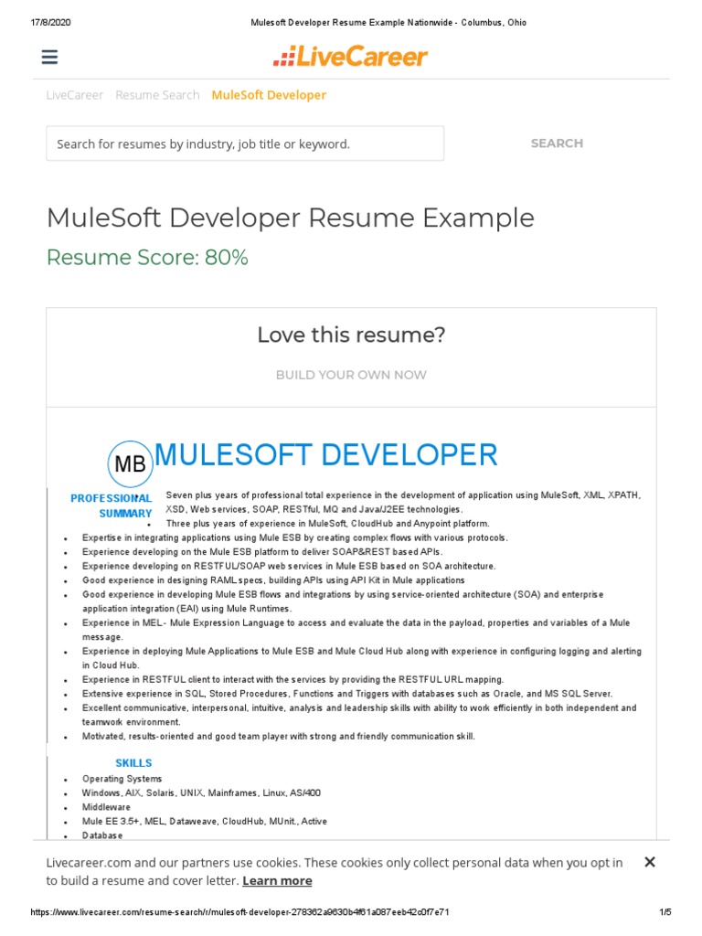 Mulesoft Developer Resume Example Nationwide - Columbus, Ohio | PDF ...
