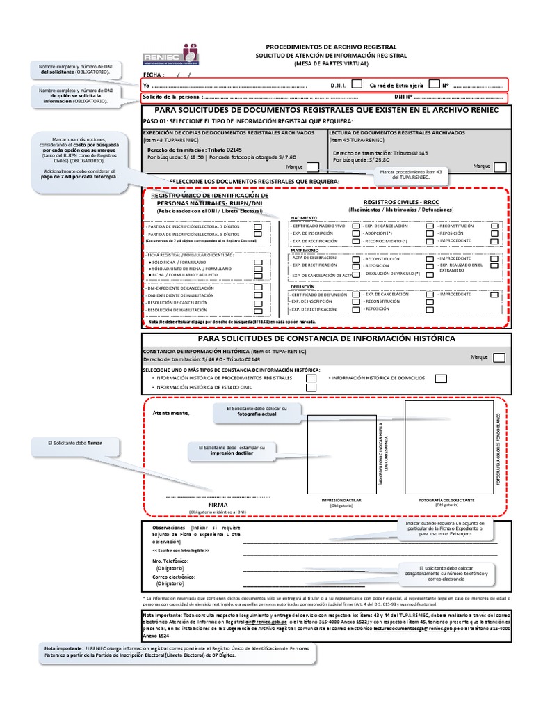 Formato de Solicitud de AIR 43 PDF | PDF
