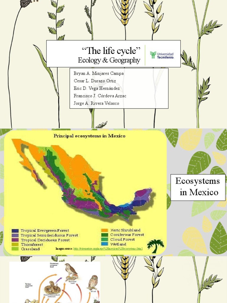 "The Life Cycle": Ecology & Geography | PDF | Water Cycle | Desert