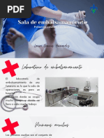 Instrumental para Embalsamar | PDF | Hogar, jardinería y bricolaje ...