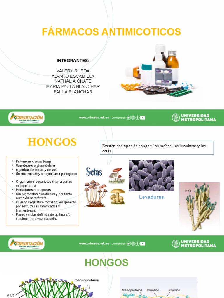 Fármacos antimicóticos: clasificación, mecanismos de acción y usos ...