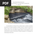 Bionote Example Tagalog | PDF