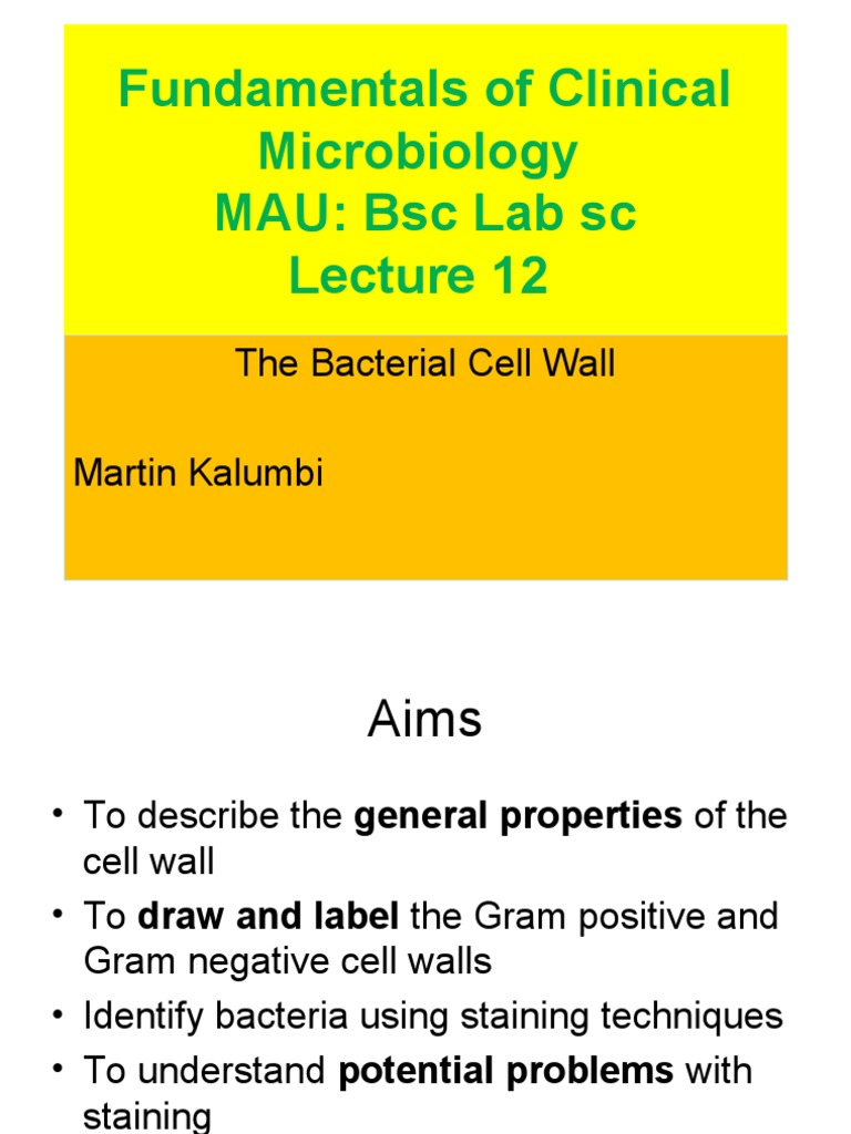 Fundamentals of Clinical Microbiology MAU: BSC Lab SC: The Bacterial ...