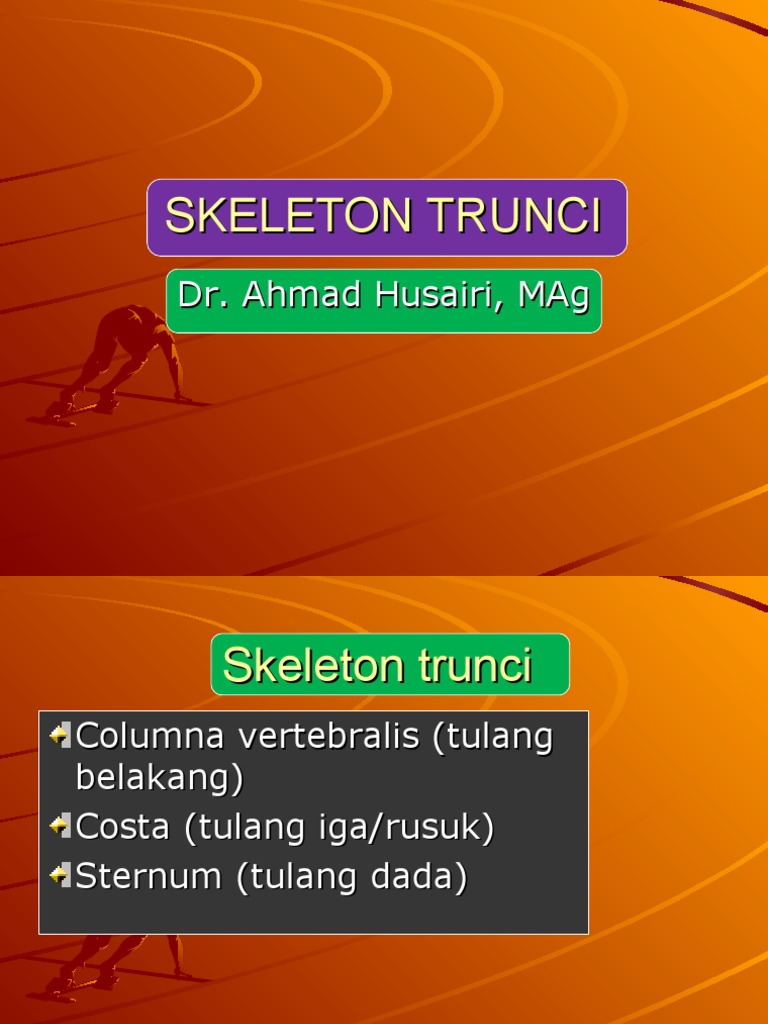 Skeleton Trunci | PDF