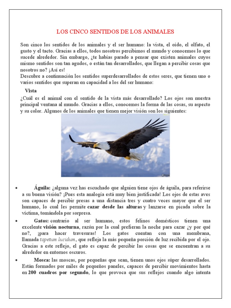Los Cinco Sentidos de Los Animales | PDF | Gusto | Olfato