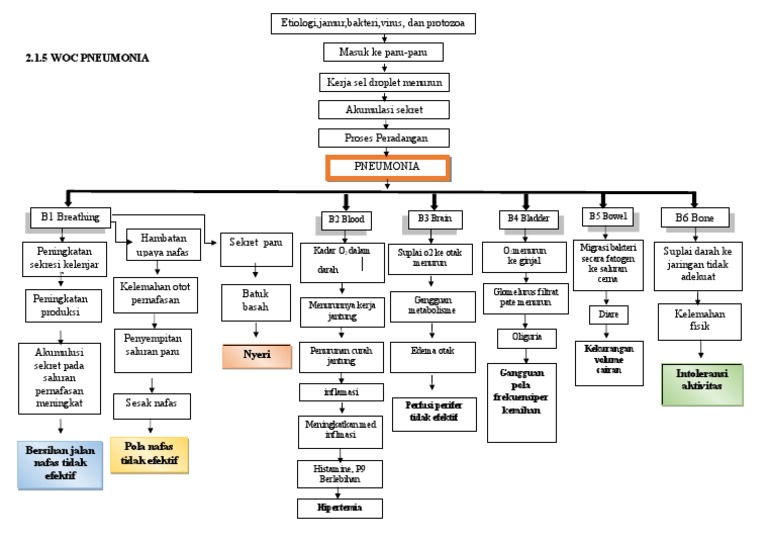 WOC Pneumonia (Wulan) | PDF