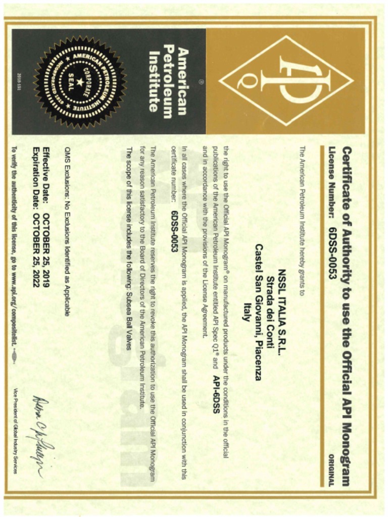 Certificate API 6DSS-0053 Expires 25.10.2022 PDF | PDF