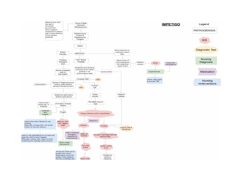 Impetigo-CONCEPT MAP | PDF