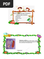 SPICES Assessment Tool | PDF | Geriatrics | Medicine